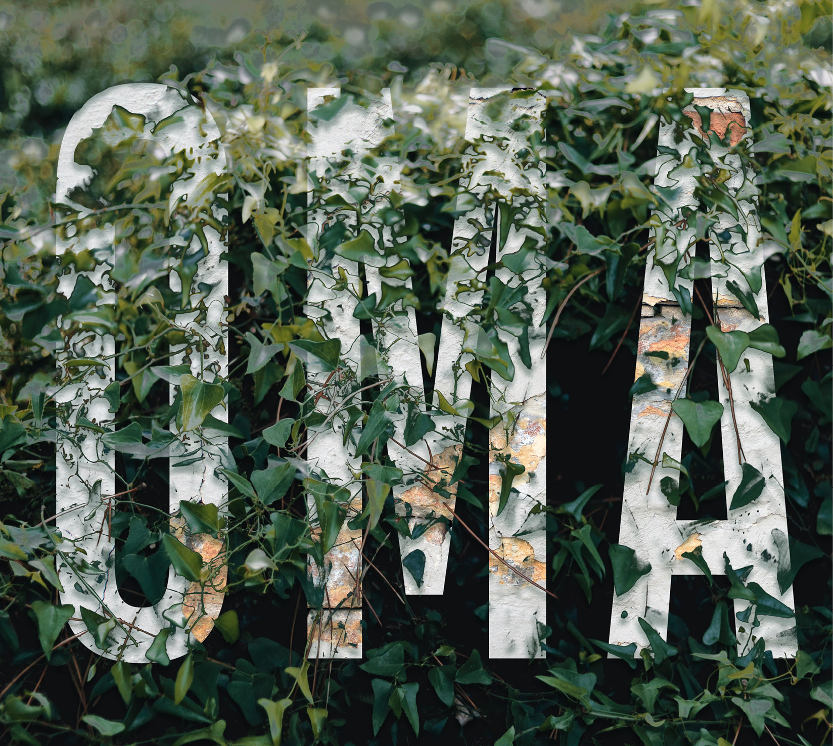 Basabi | Página Web Oficial del Grupo